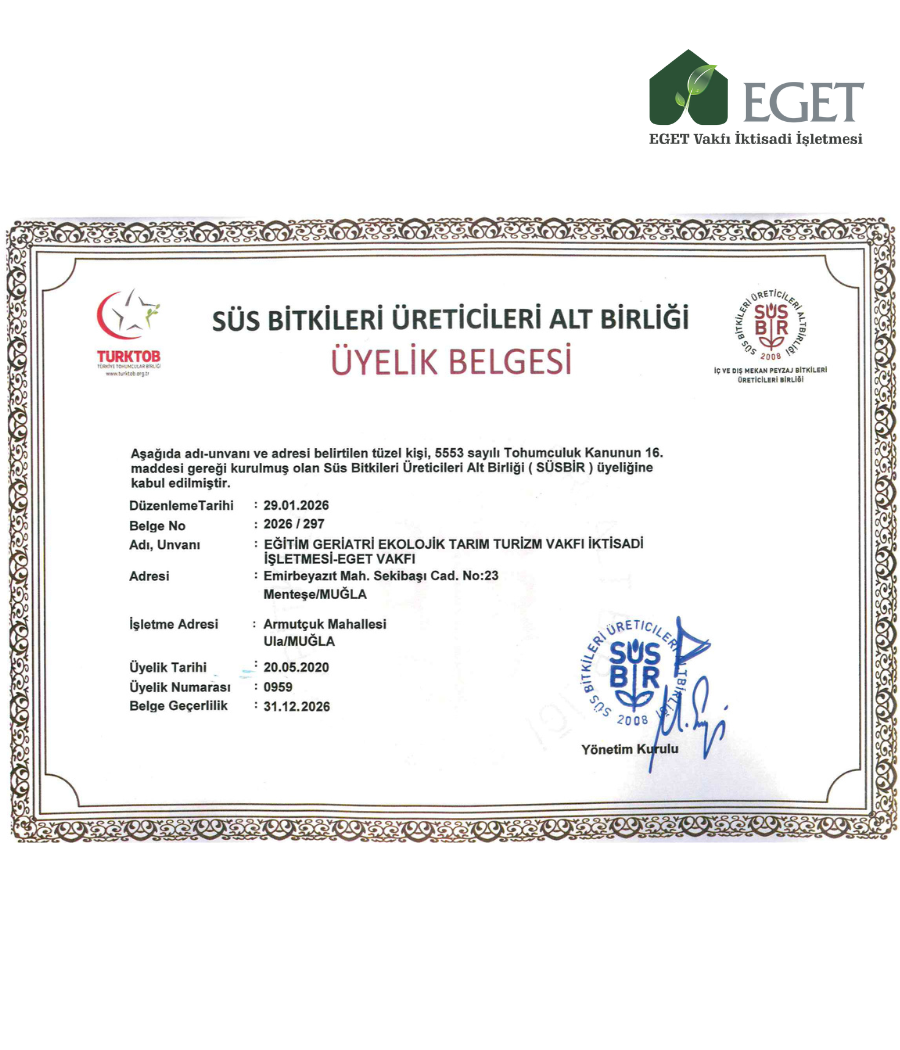 EGET Vakfı İktisadi İşletmesi - arbequina zeytin